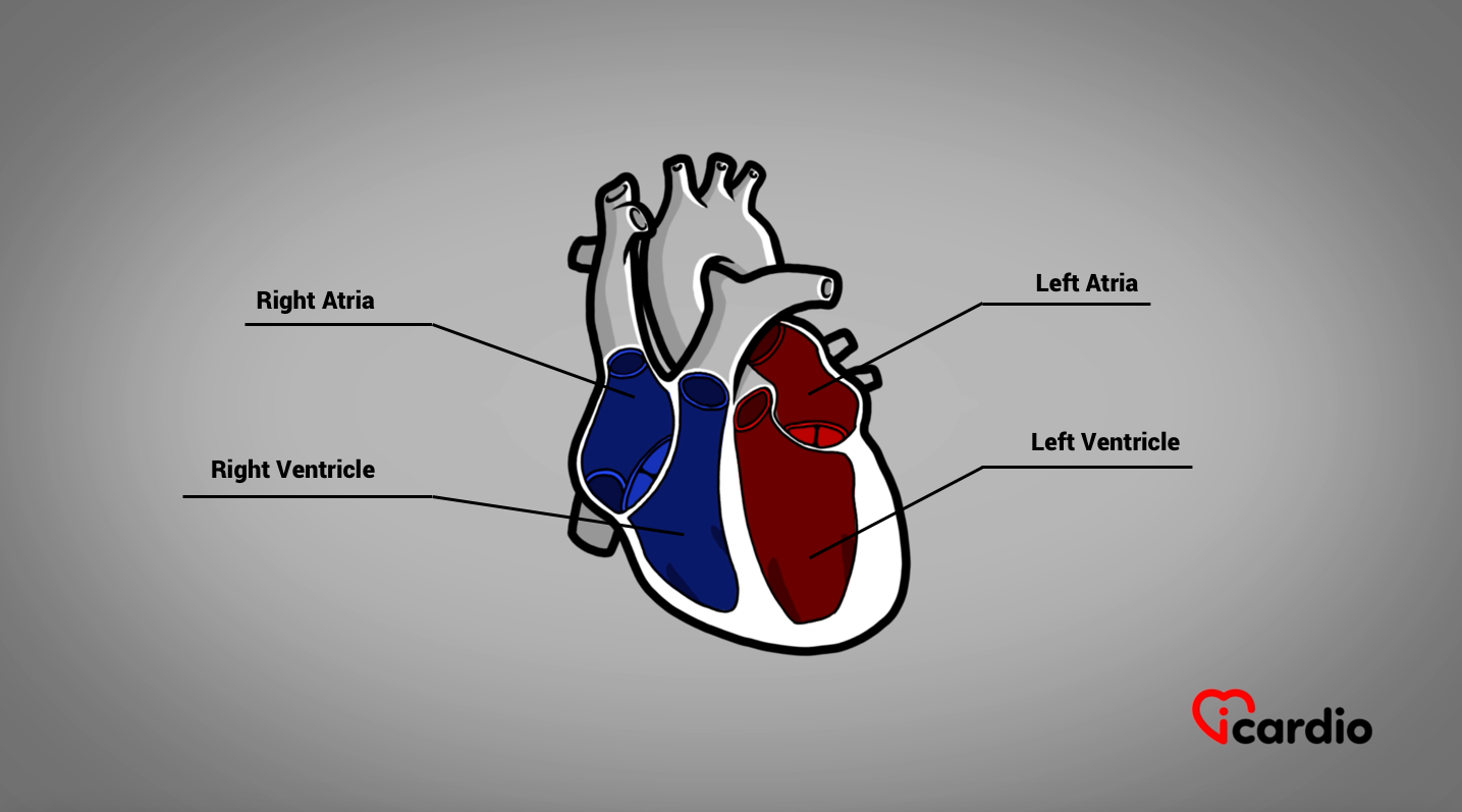 The Heart, from Every Angle – Icardio