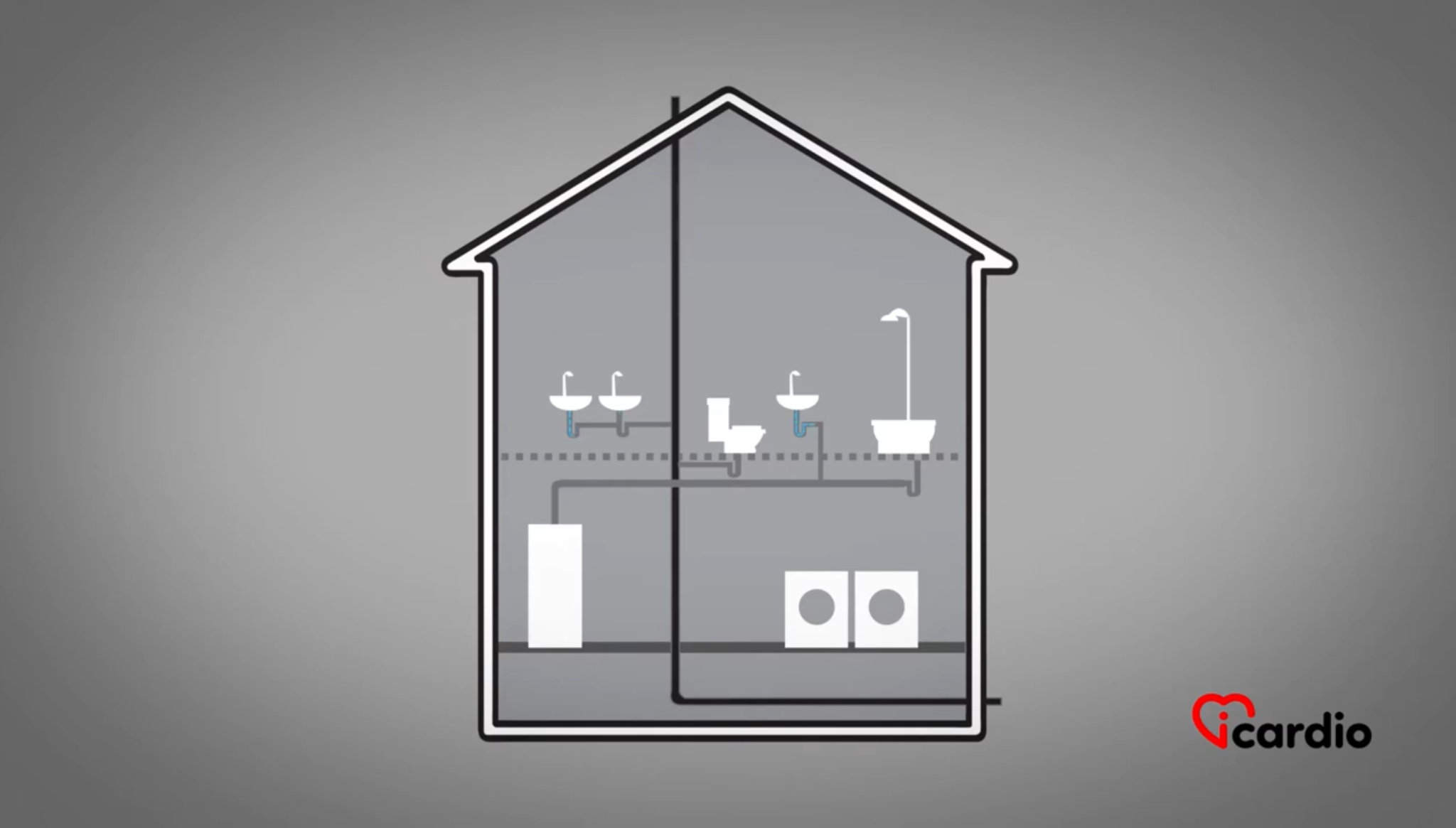 Systemic capillaries – Icardio