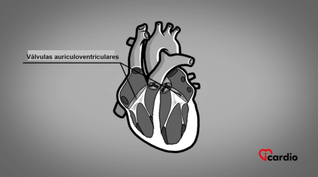 El corazón, desde todos los puntos de vista – Icardio