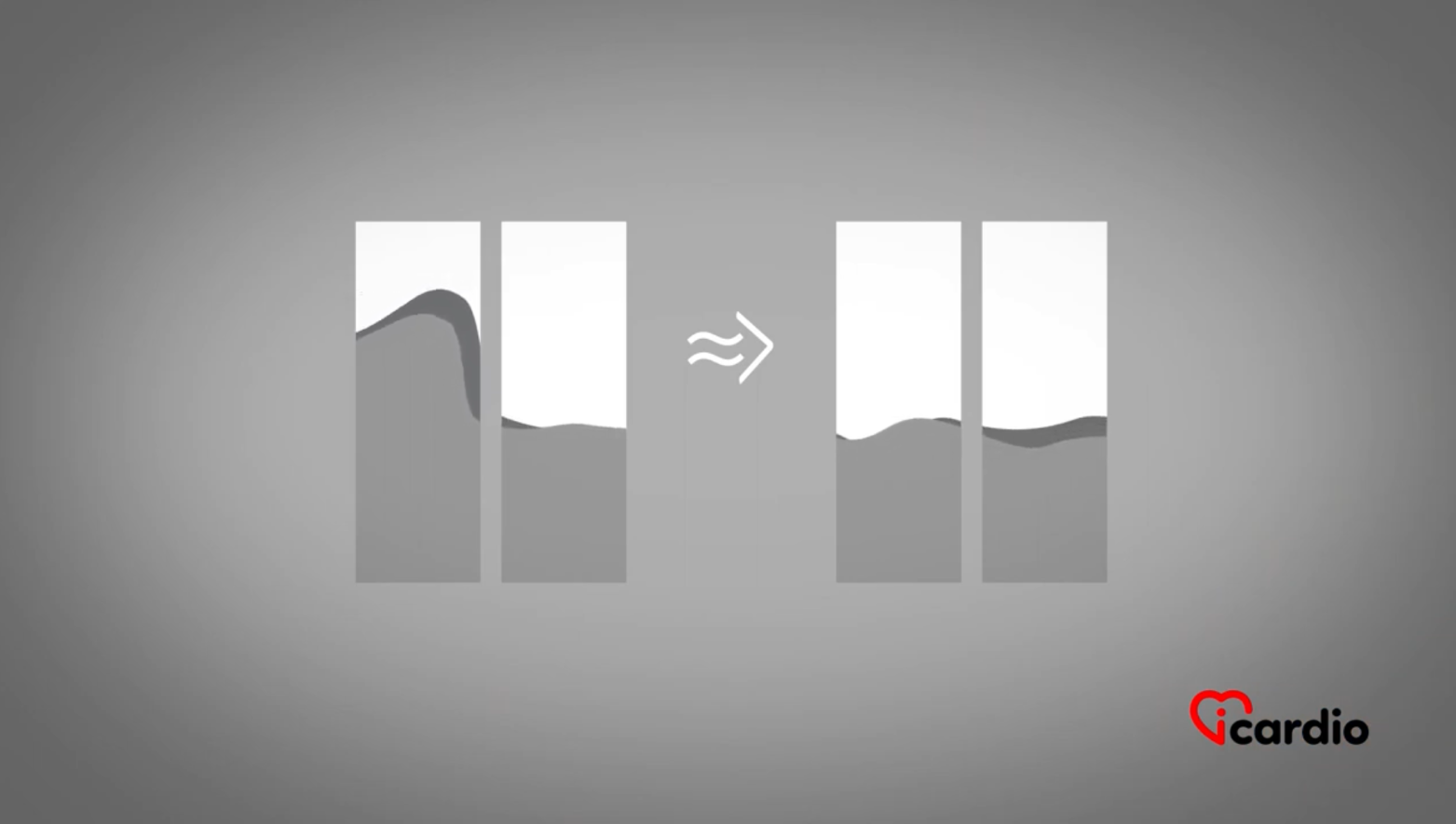 Systemic capillaries – Icardio