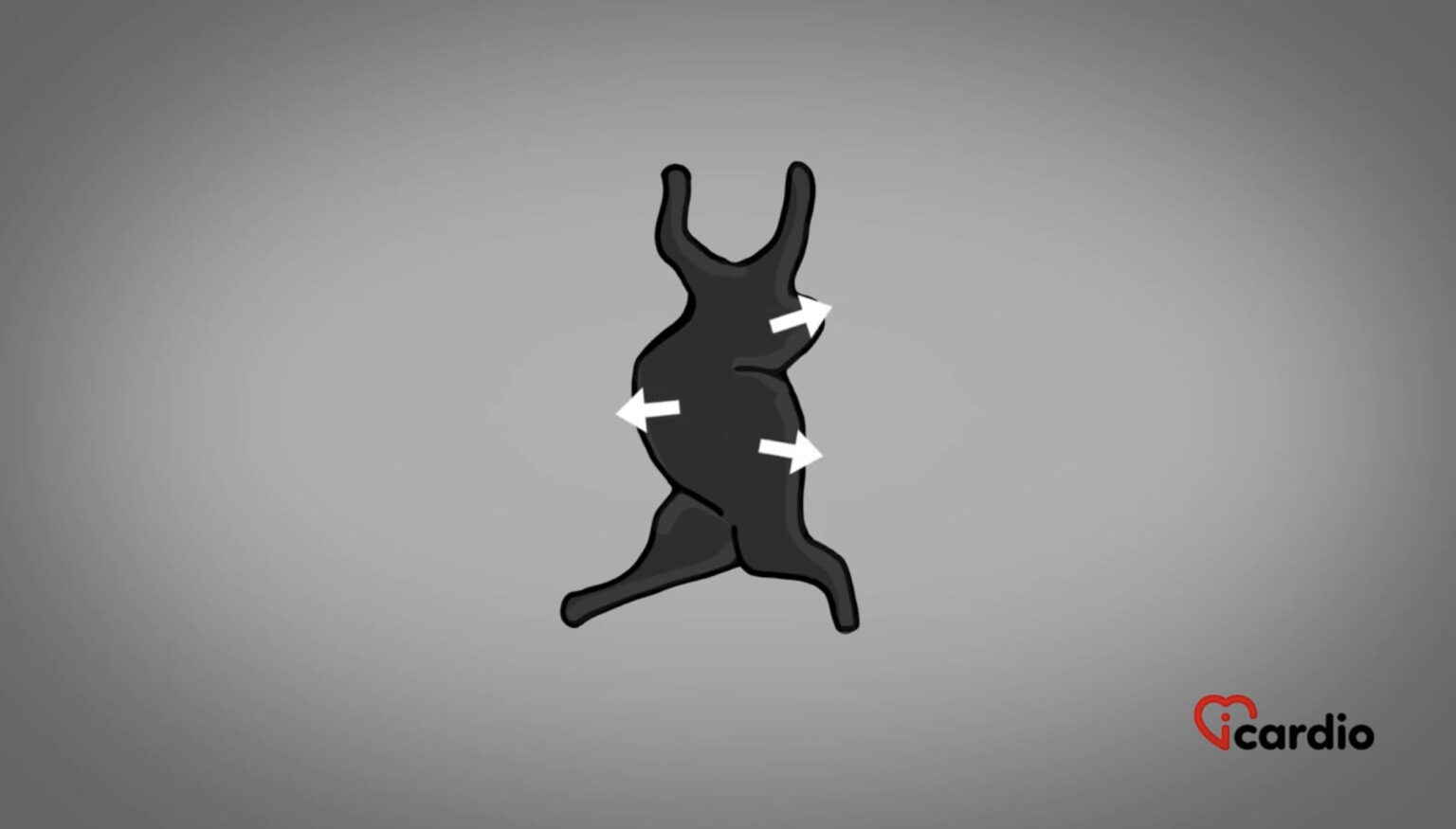 La formation des ventricules et des gros vaisseaux artériels – Icardio