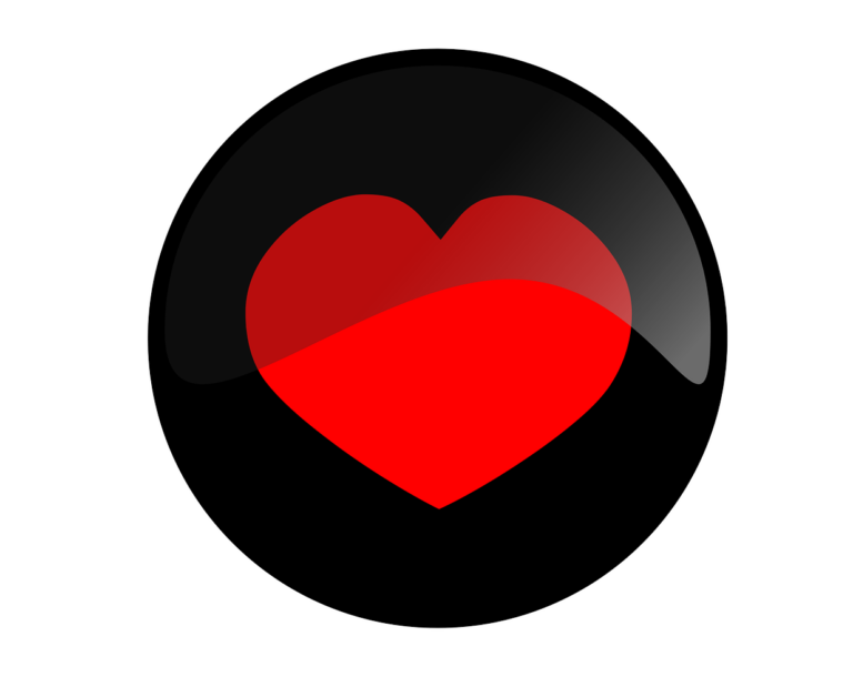 Le cœur, à tout point de vue – Icardio